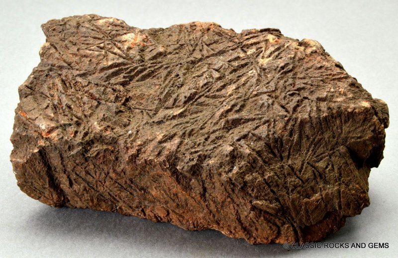 RARE komatiite ULTRAMAFIC Rock Acicular Spinifex komatiit vulcanisches ...