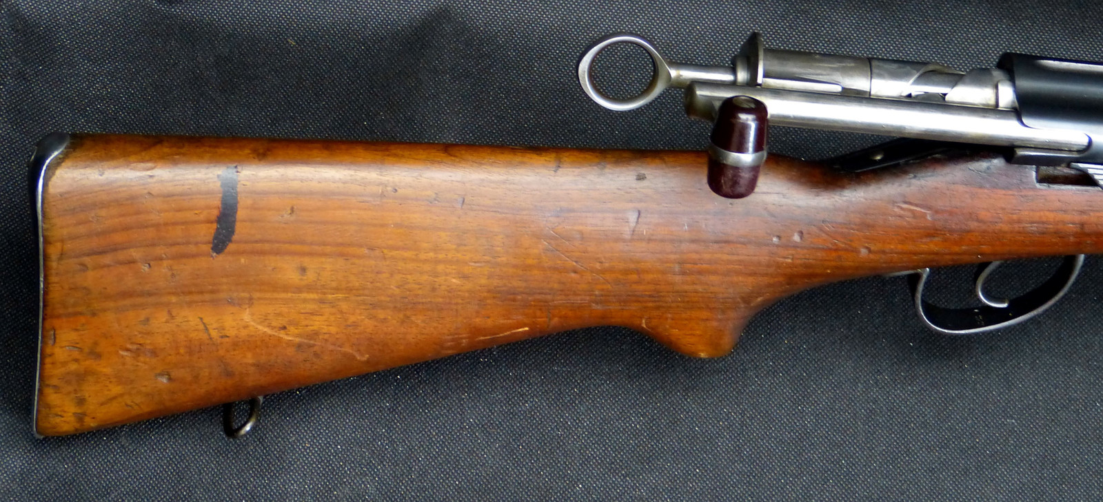 IG11 Schweizer Langgewehr 7,5x55 - eGun